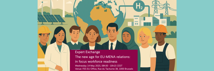 The new age for EU-MENA relations: turning ambitious partnerships into ...